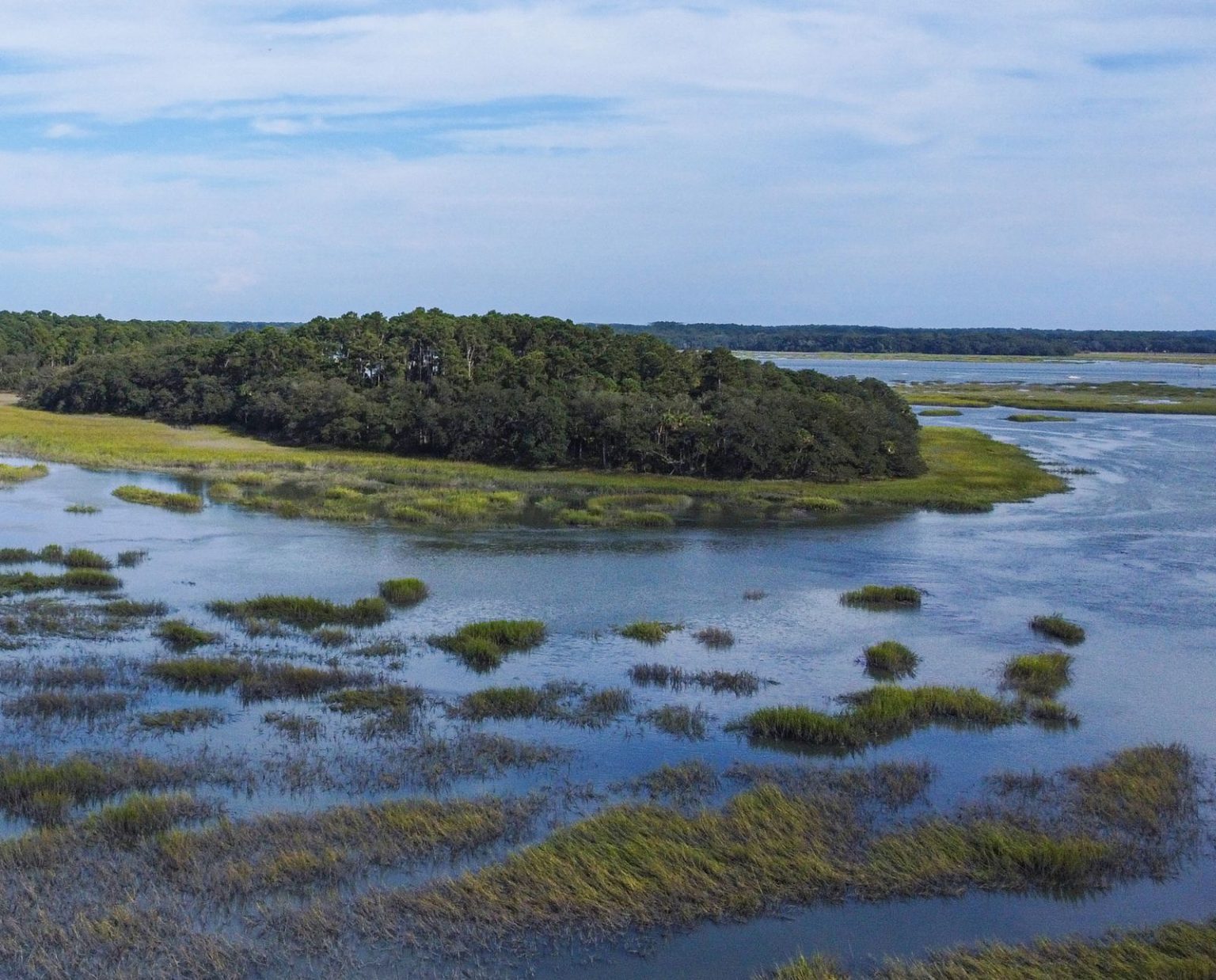 The Complete Guide to Marsh Hen Hunting - Project Upland