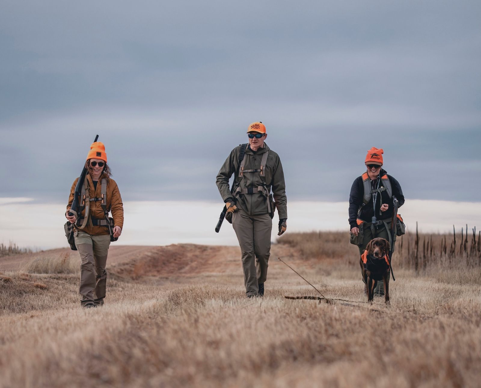three-pheasant-hunters-walking-into-overlooked-habitat - Project Upland