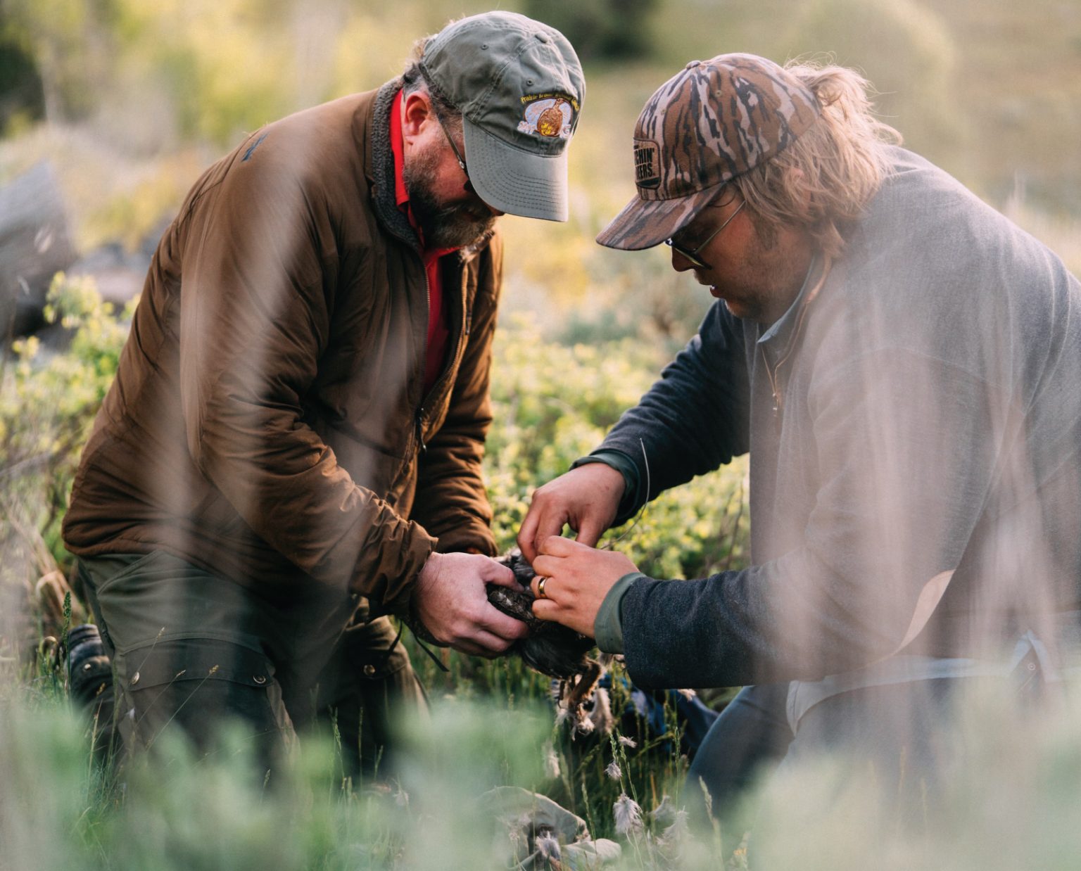 Project Upland – Wild Birds, Public Lands, Dogs, and Shotguns